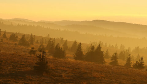 Accueil - Camping Lefébure | Orbey | Alsace